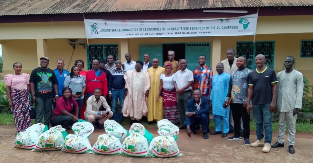 To enhance productivity: AfricaRice hands over breeder rice seeds ...